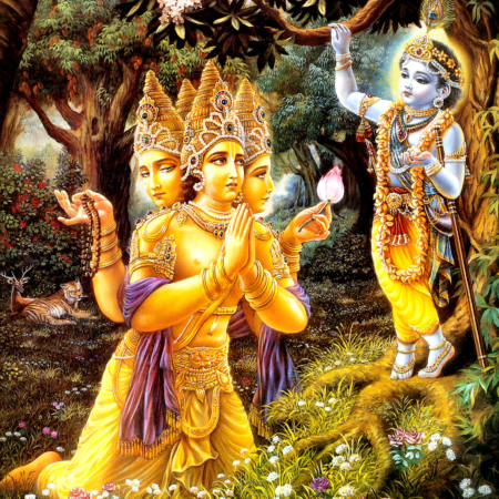 Sri Krishna RASA LILA: Astonishing Benefits – Mahanidhi Swami